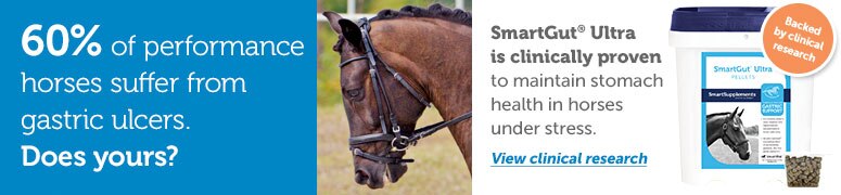 Ulcer & Gastric Health - Horse Supplements from SmartPak Equine