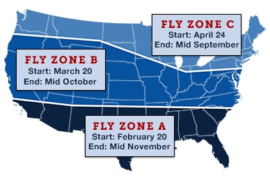 Plastic Grooming Tote